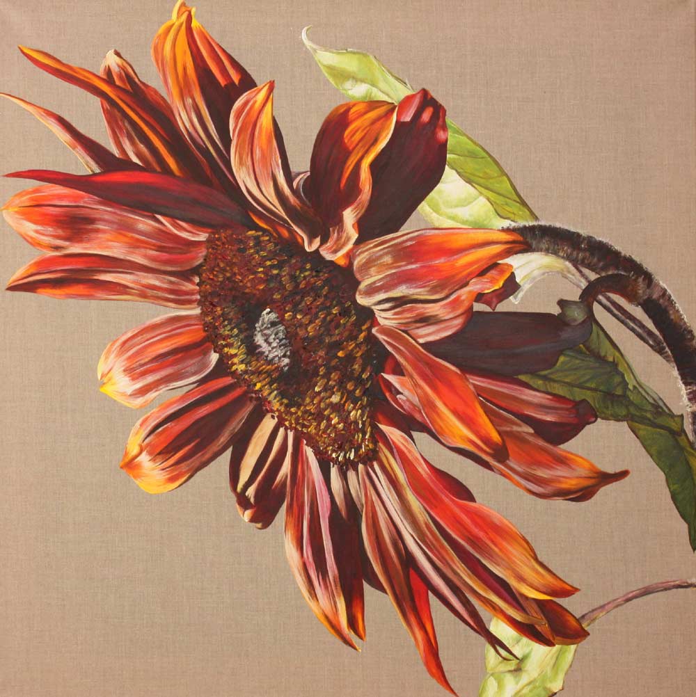 Mounted Print - Chocolate Sunflower - Sarah Caswell